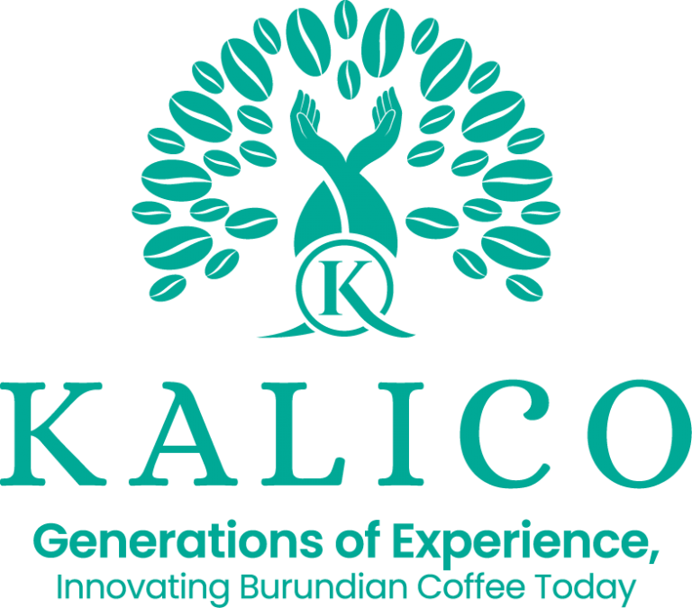 Gallery - Kalico - Innovating Burundian Coffee Today