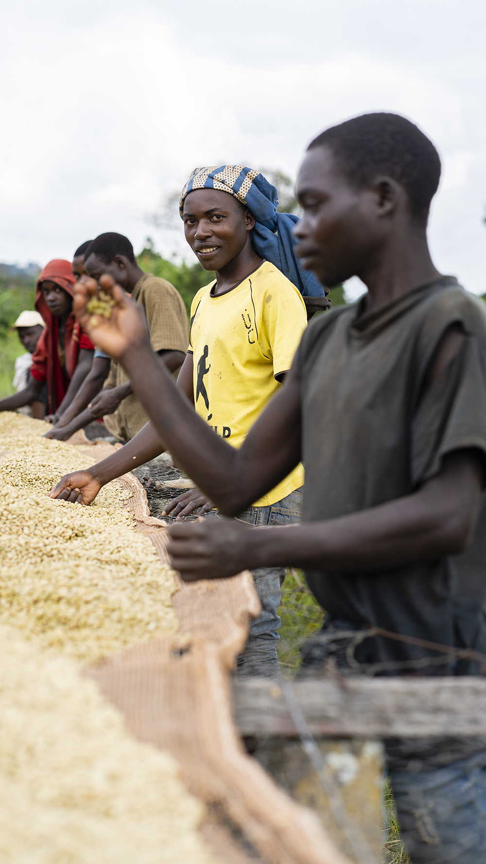 - Kalico - Innovating Burundian Coffee Today